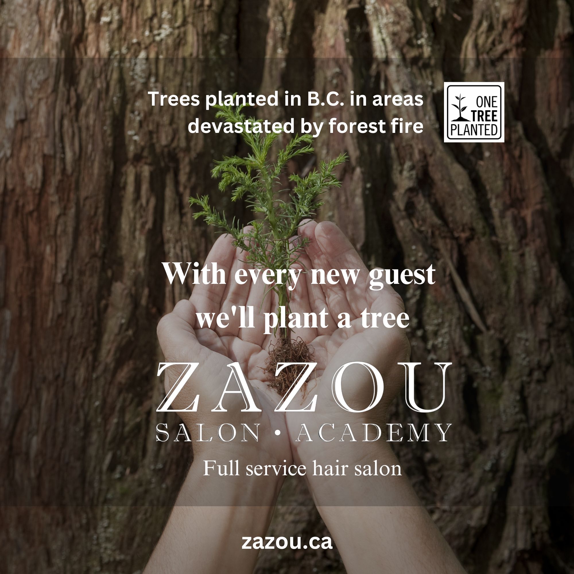 Hair Service = Tree Planted - Zazou Hair Salon and Academy | North ...